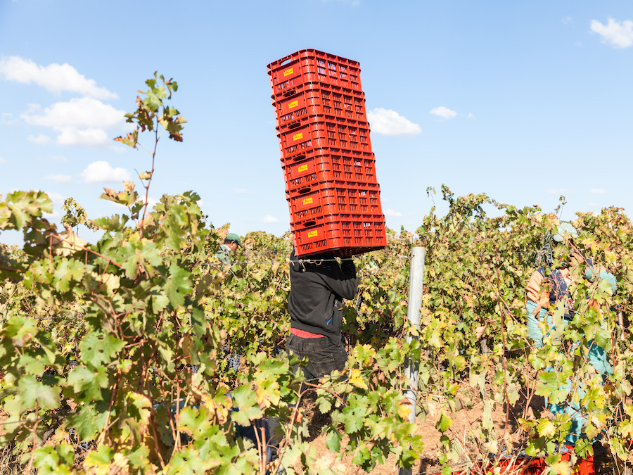 La Ferme Rouge | Premier African Luxury Lifestyle Magazine | MOYI Magazine