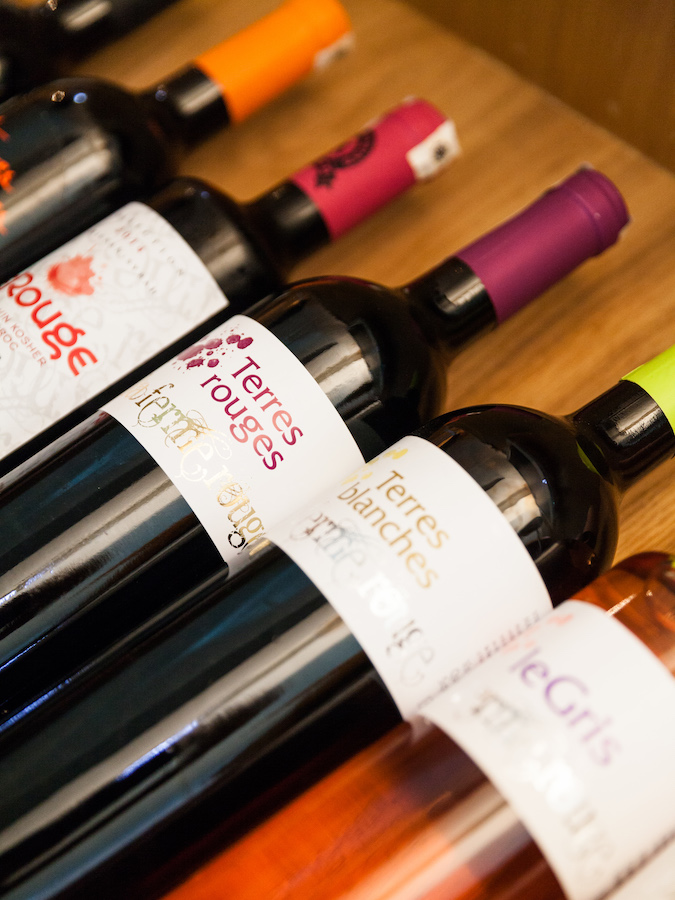 A visit to the vineyards of La Ferme Rouge in Morocco | Premier African ...